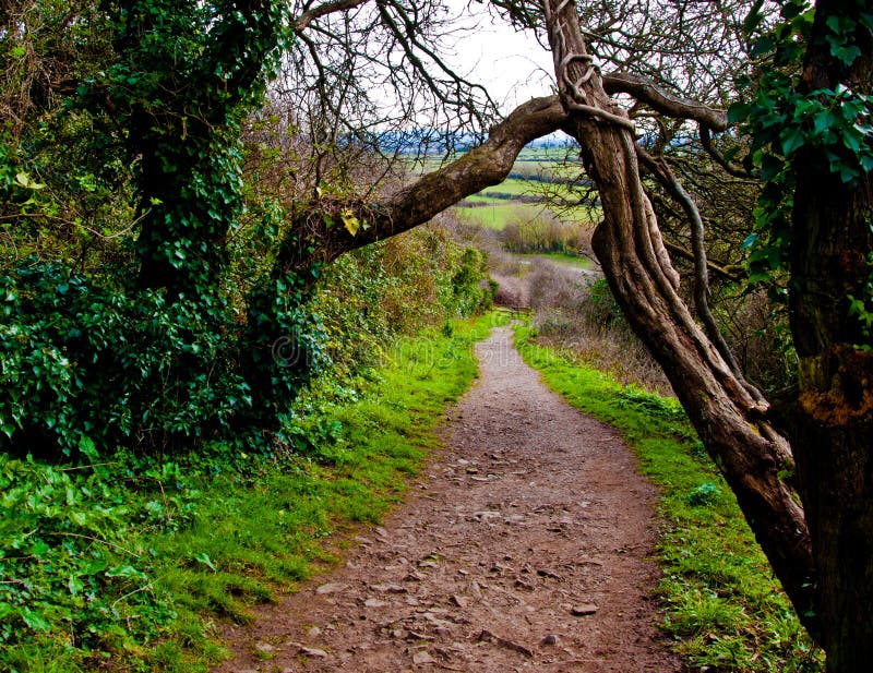 Mid Summers Walk stock image. Image of green, peace, colour - 51512627
