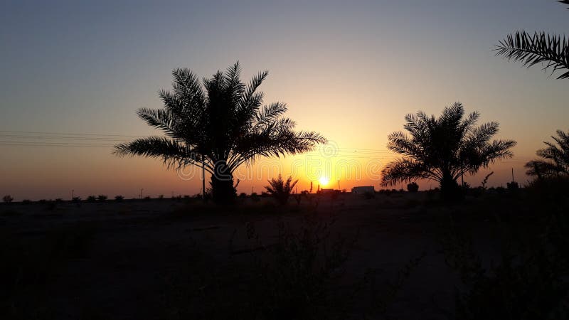 The Mid Sunset View stock photo. Image of nature, view - 118280106