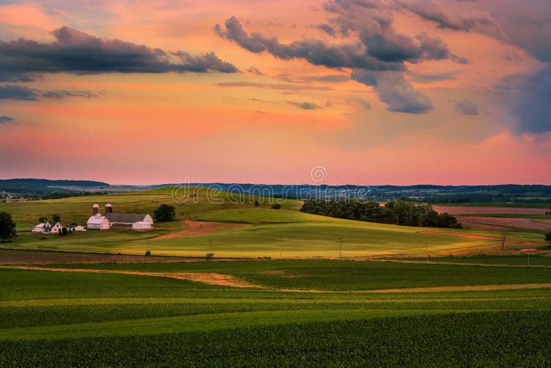 Mid-Western Sunset stock image. Image of livestock, landscape - 94529641