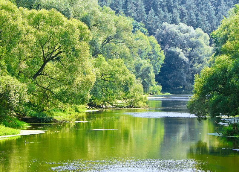 Midday stock photo. Image of branch, lightful, haze, midday - 20840314