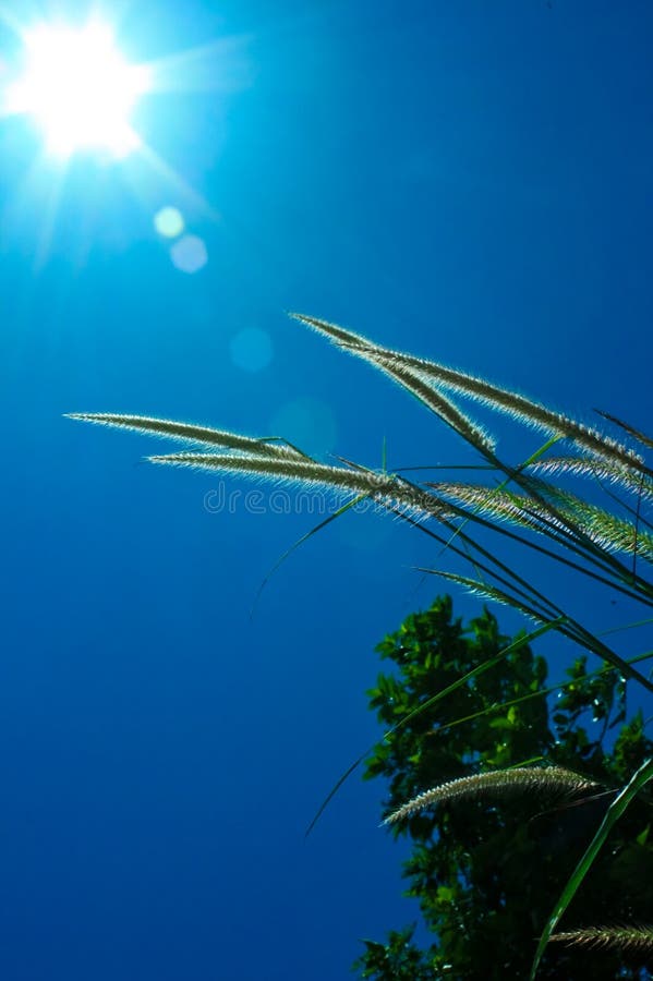 Midday sun makes it hot. stock image. Image of blue, natural - 18192513