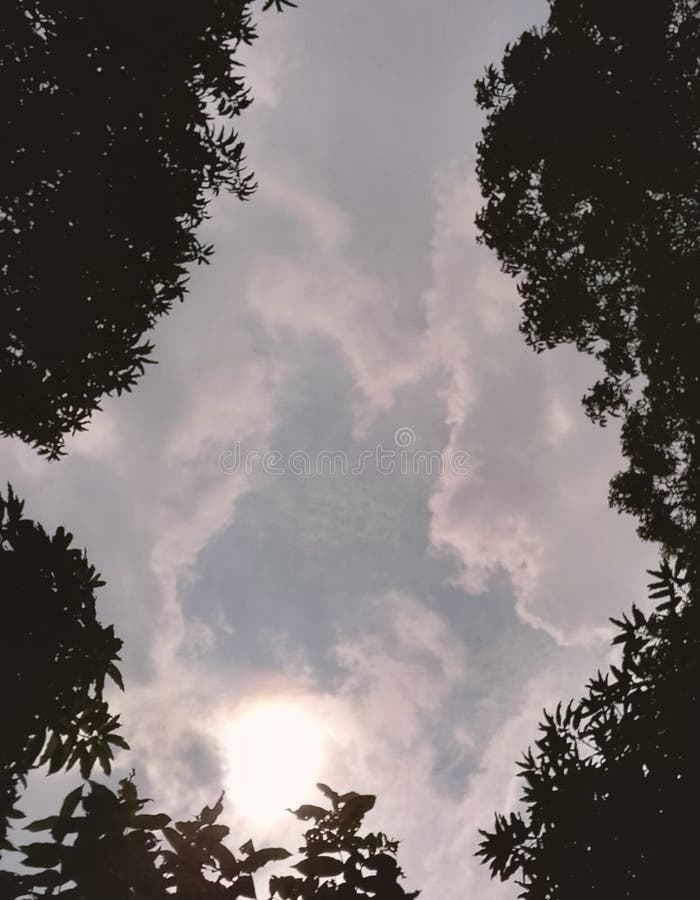 The Midday Sun between the Shady Trees Glimpsed Like a Black Hole Stock ...