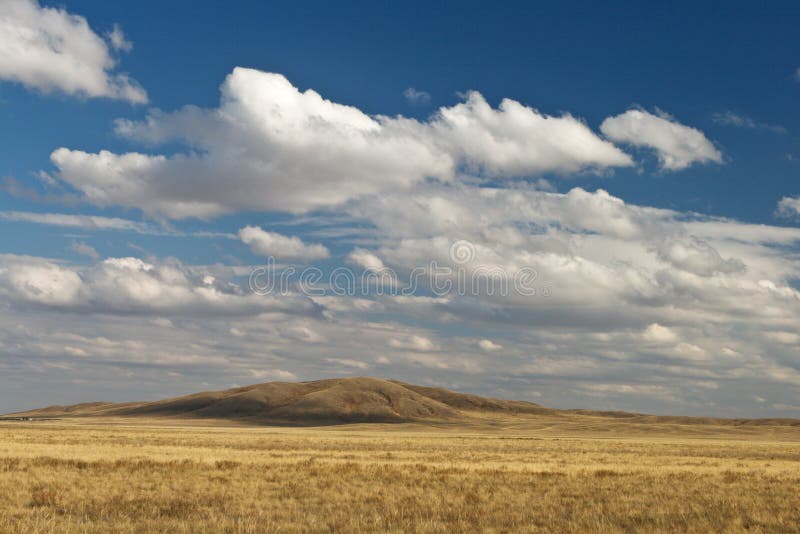 The Midday Sun in Steppe Summer Day Stock Image - Image of country ...