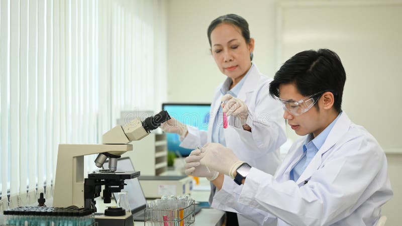 Middle Age Female Scientist and Laboratory Assistant Conducting ...