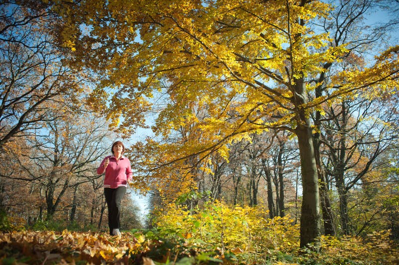 Middle age woman stock photo. Image of environmant, change - 21577760