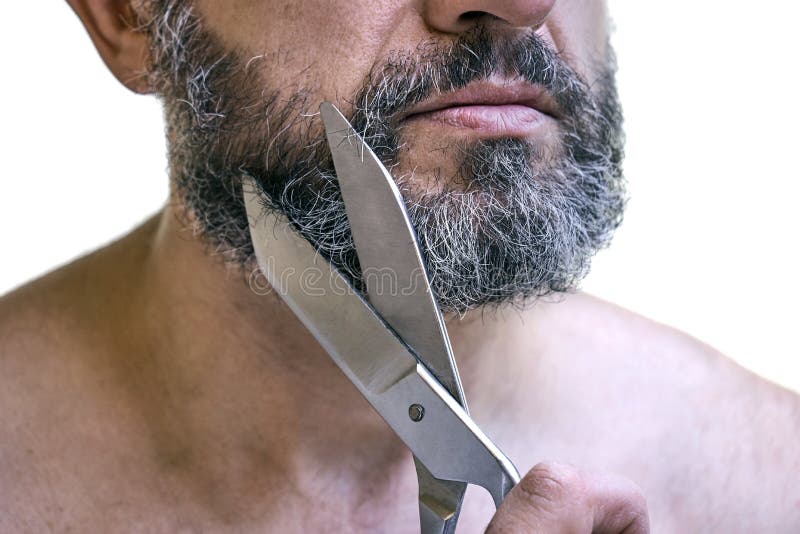 Middle-aged Man Cuts His Beard Using Big Old Scissors Stock Image ...
