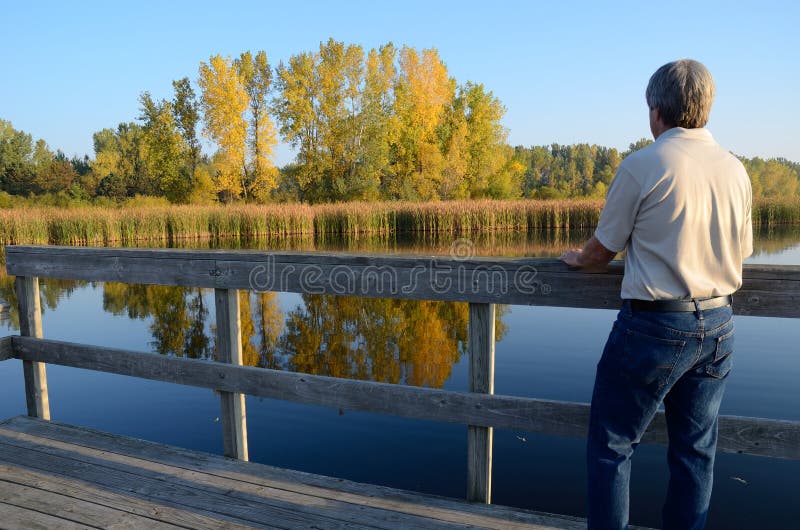 Middle-Aged Man Enjoying the Fall Colors Stock Photo - Image of morning ...