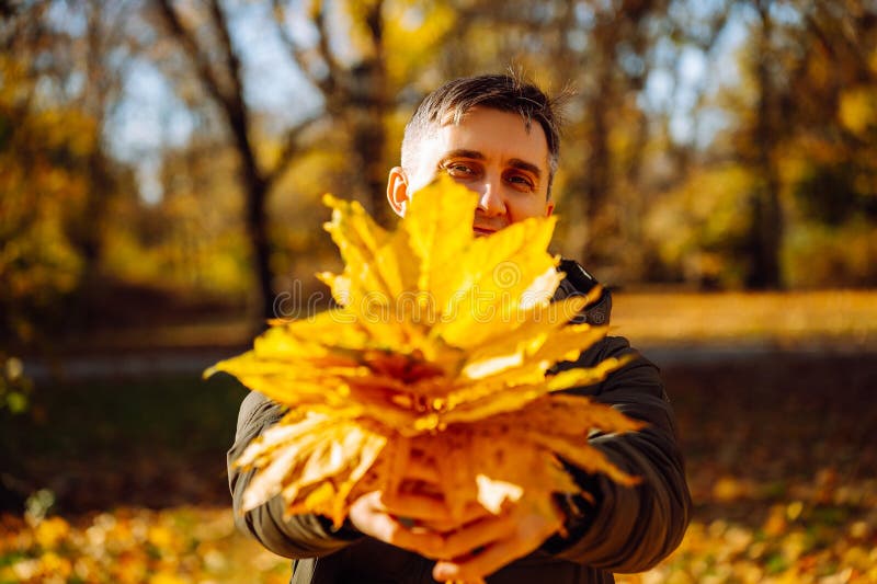 Middle-aged Man Holding Maple Leaves in Front of Face in a Park Stock ...