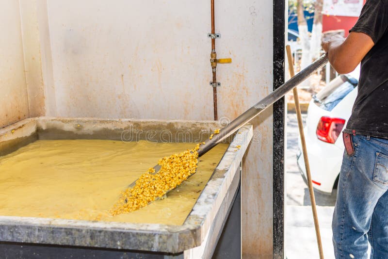 Middle-aged Man Wearing a Cap is Moving the Corn for Its Correct ...