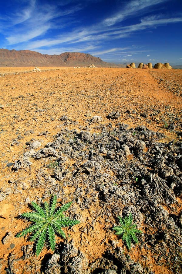 Middle Atlas landscape stock photo. Image of attraction - 12882332