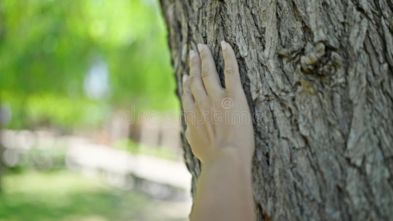 Middle Eastern Woman Touching Tree at Park Stock Video - Video of tree ...