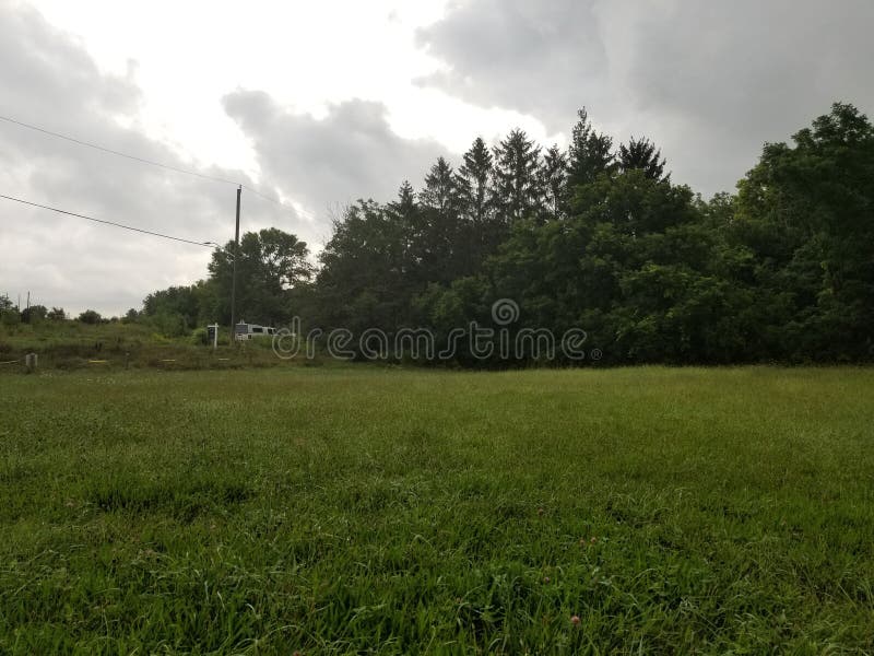 In the Middle of an Empty Field Stock Photo - Image of grassland, farm ...