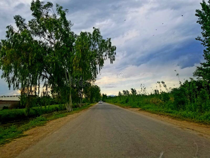 In the Middle of Field& X27;s Stock Photo - Image of middle, landscape ...