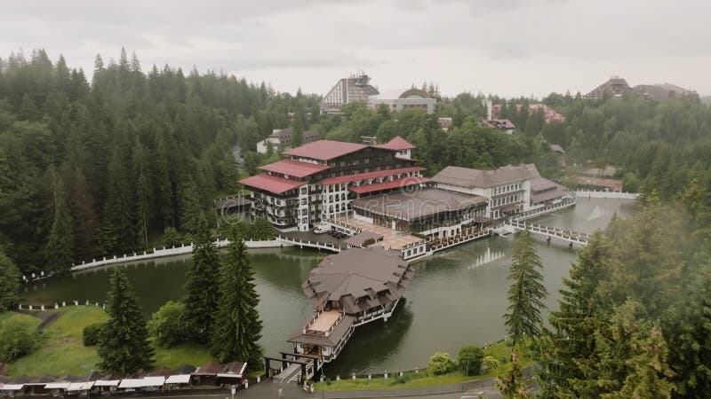 In the Middle of the Forest a Drone Films the Beautiful Scenery of the ...