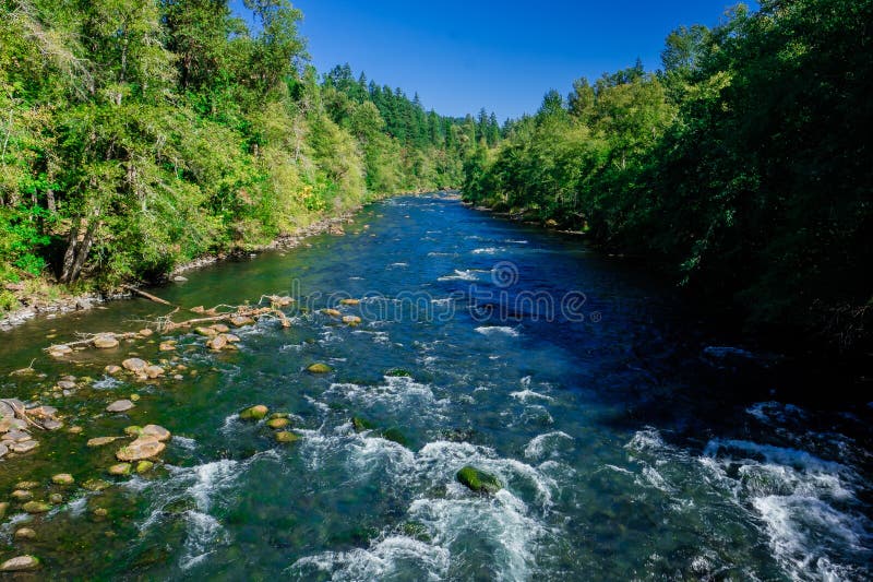 Middle Fork Willamette River in Oregon Stock Photo - Image of ...
