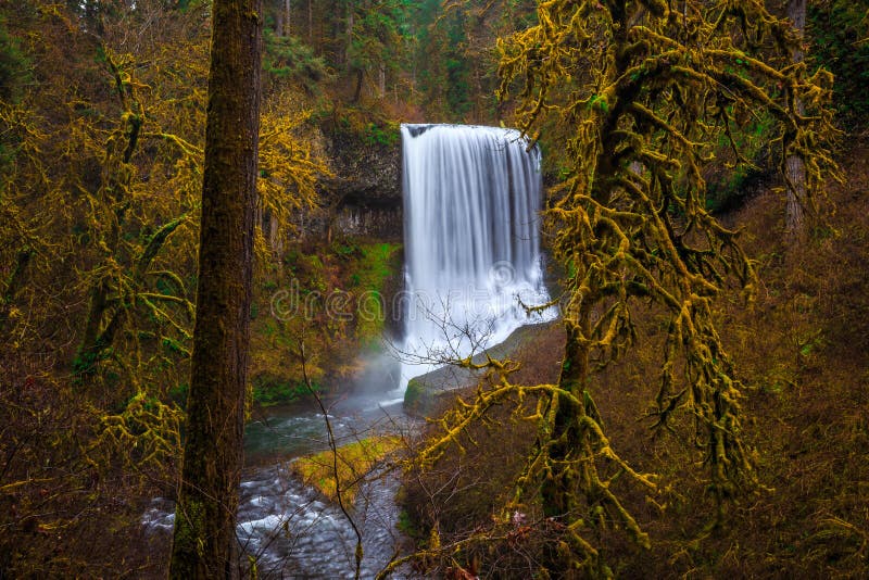 Middle North Falls View at Silver Falls State Park Stock Photo - Image ...