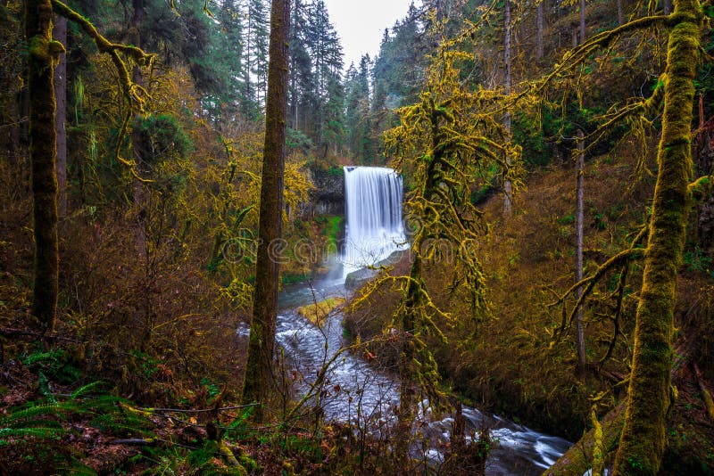 Middle North Falls View at Silver Falls State Park Stock Image - Image ...