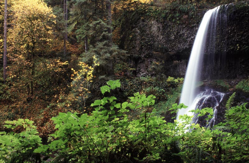 Middle Northfalls, Silver Creek State Park. Stock Photo - Image of ...