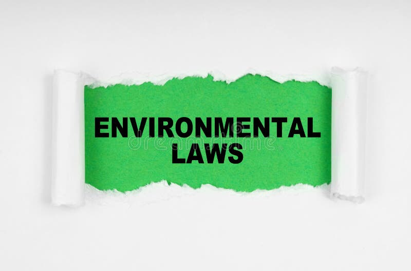 Environmental Law with Judge Gavel and Earth Stock Photo - Image of ...