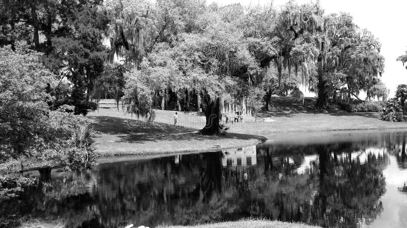 Middleton stock photo. Image of middleton, lake, black - 121651950