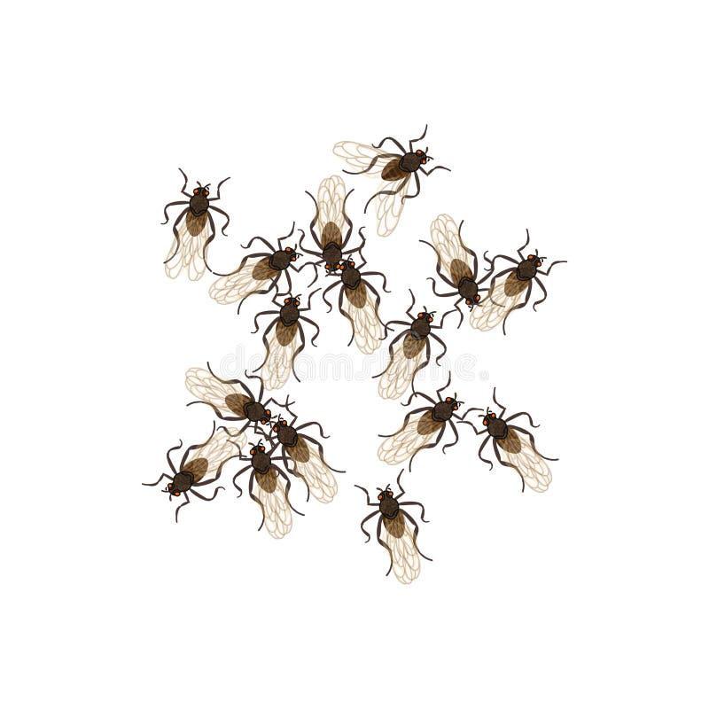 Midges Colorful Illustration Stock Illustration - Illustration of ...