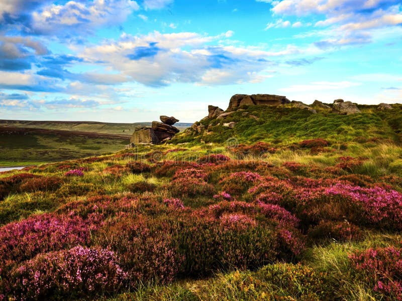 Widdop Reservoir and Moorland Stock Photo - Image of lakereservoir ...