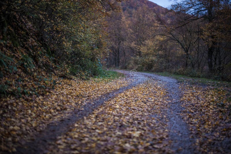 Autom Road stock image. Image of home, city, middle, clouse - 89688499