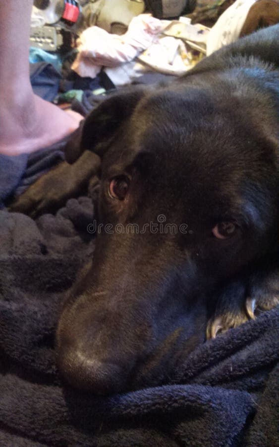 Midnight. stock photo. Image of close, midnight, german - 48783416