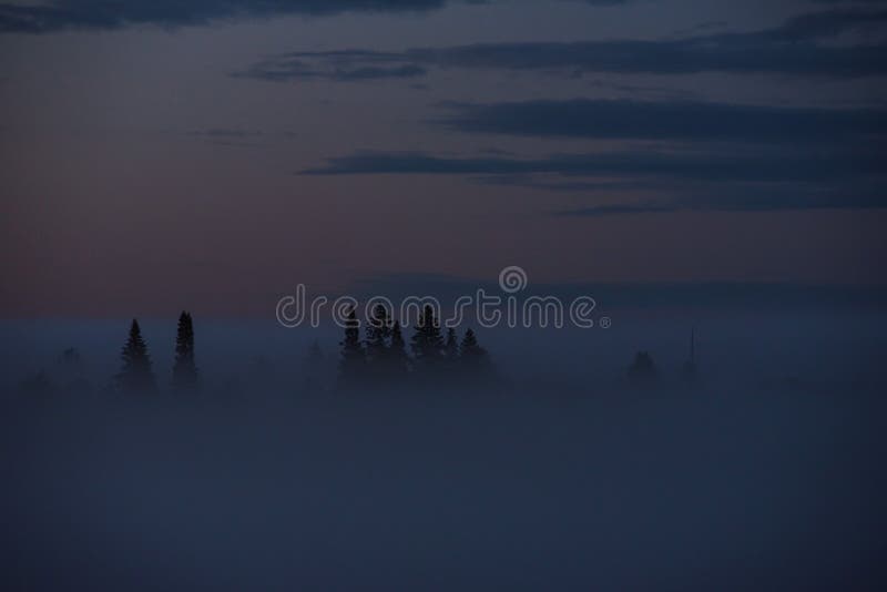 Midnight fog stock photo. Image of color, empty, corn - 151737930