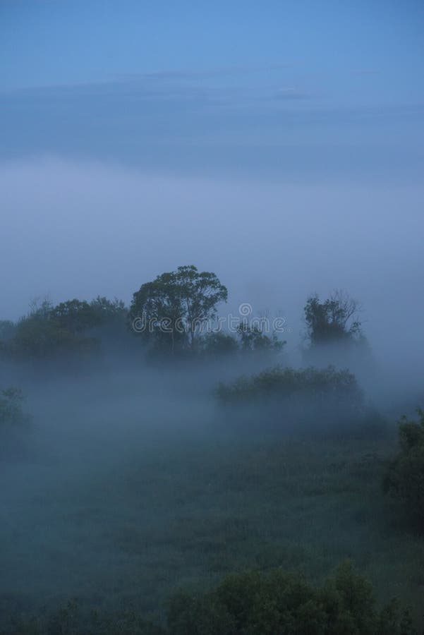 Midnight fog stock photo. Image of blue, foggy, color - 151738010