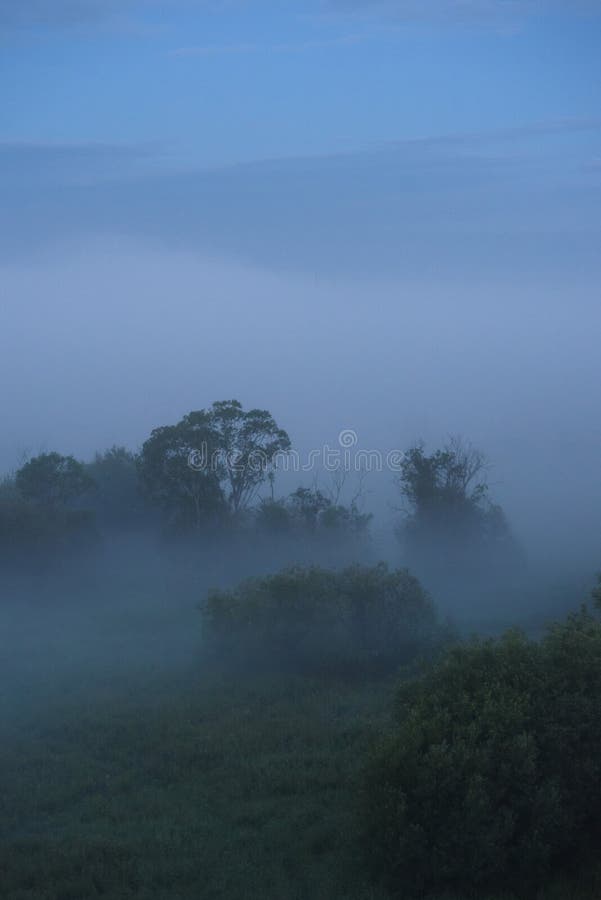 Midnight fog stock image. Image of empty, beauty, grass - 151738043