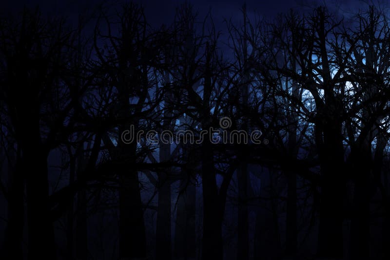 Moon Background Midnight Forest Stock Illustrations – 1,383 Moon Background Midnight Forest ...