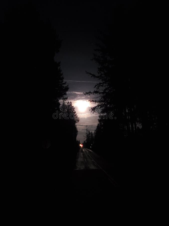 Midnight stock photo. Image of road, moon, trees, moonlight - 173283386