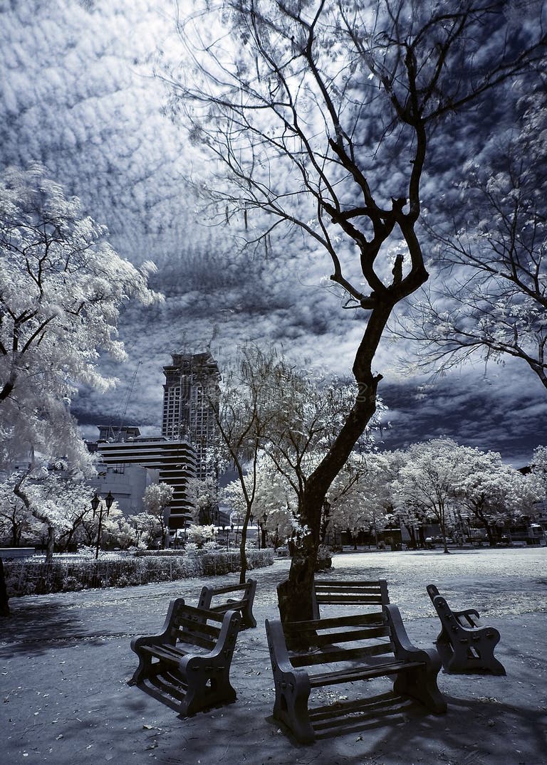 437 Blue Ghost Midnight Pfp Stock Photos - Free & Royalty-Free Stock ...