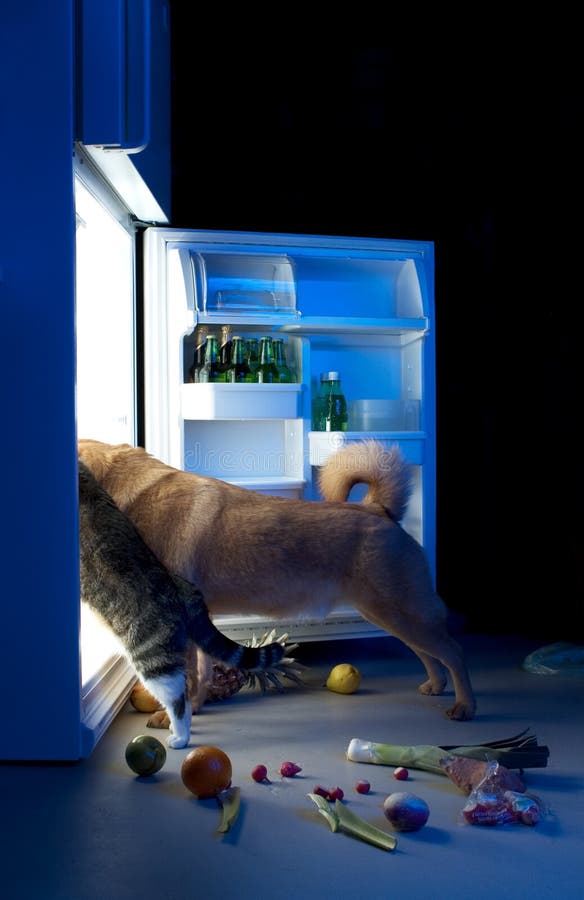 Midnight snack stock image. Image of steal, refrigerator - 2223675