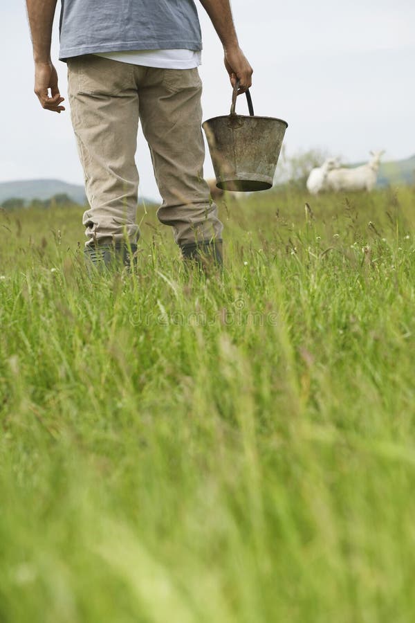 Midsection of Man with Bucket in Field Stock Photo - Image of leisure ...