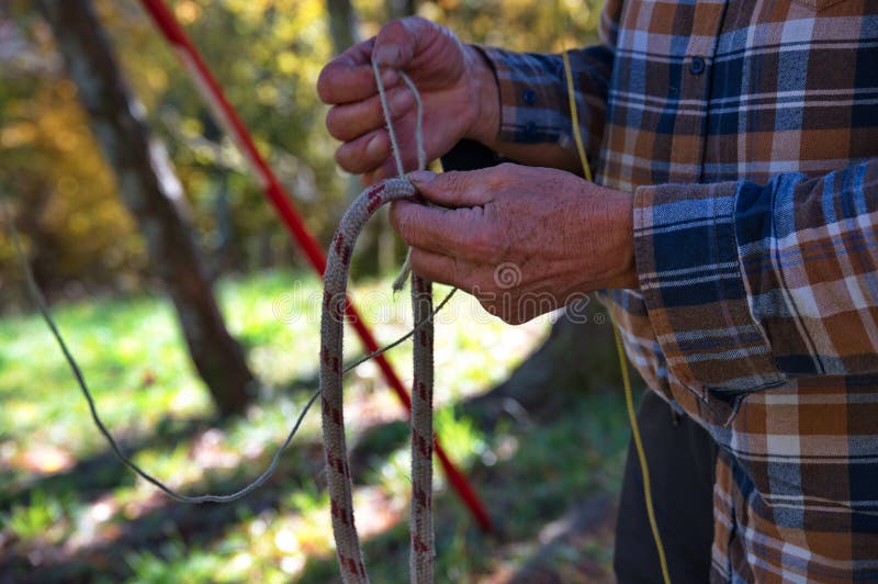 Midsection of Man Preparing Rope Stock Photo - Image of plant ...
