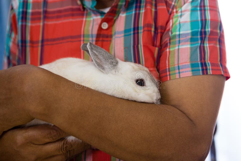 Midsection of Senior Man Holding Rabbit Stock Photo - Image of aged ...