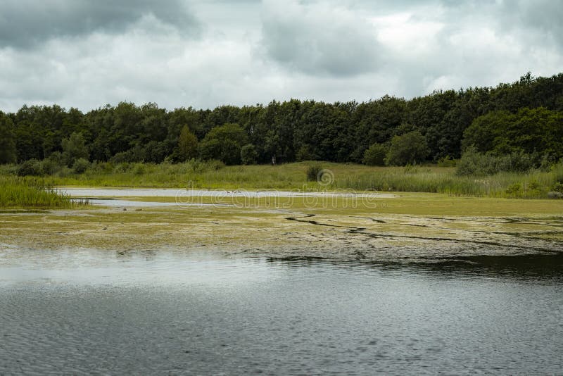 In the Midst of the Marshlands Stock Image - Image of beauty, river ...