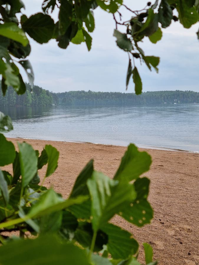 Midsummer Fest at the Beach Stock Photo - Image of garden, tree: 237210504