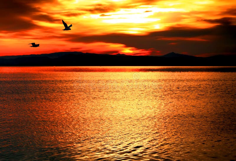 Midsummer Night stock image. Image of nature, flight - 12443015