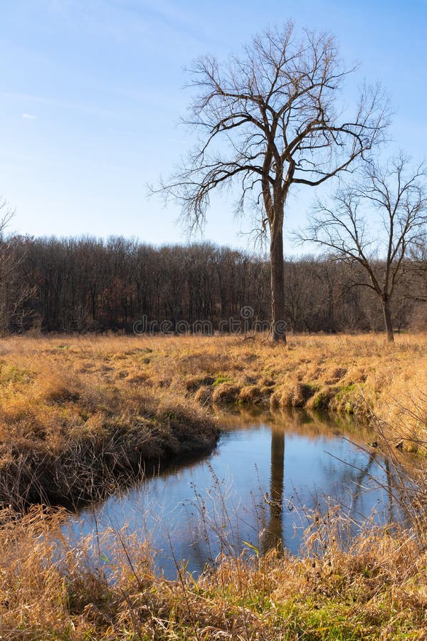 Midwest Morning Sunrise stock photo. Image of desolate - 99788864
