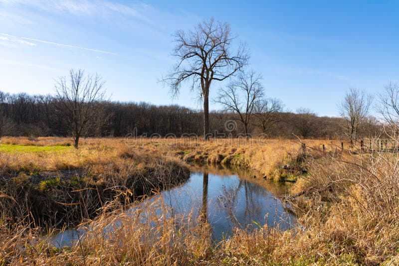 Midwest Countryside stock image. Image of meadow, park - 206209157