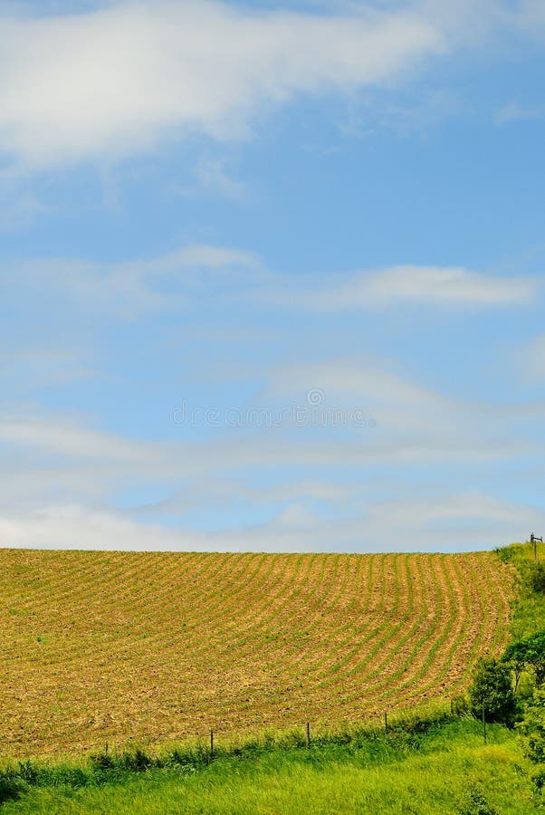 Midwest Crop Field stock photo. Image of urban, farmland - 23660194