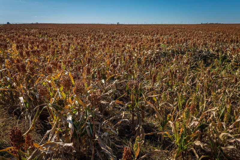 Midwest Farming stock image. Image of farm, amazing, circle - 62465671