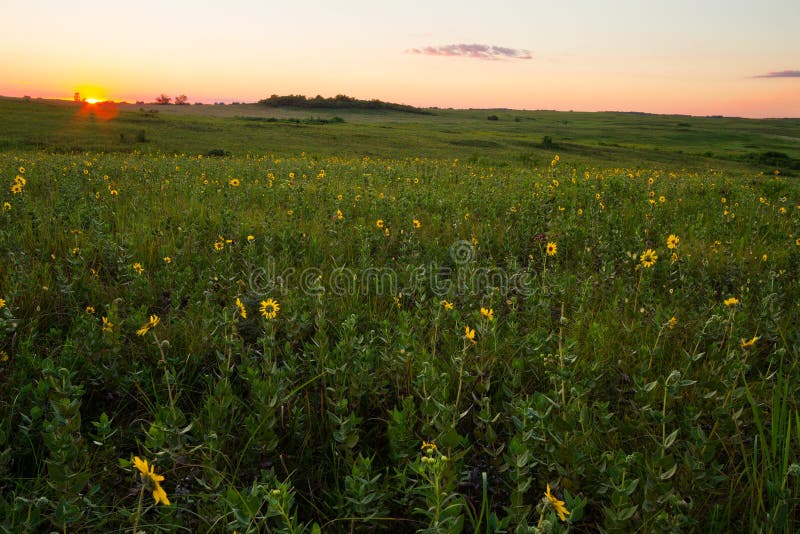 Midwest Prairie stock photo. Image of horizon, midwest - 88404816