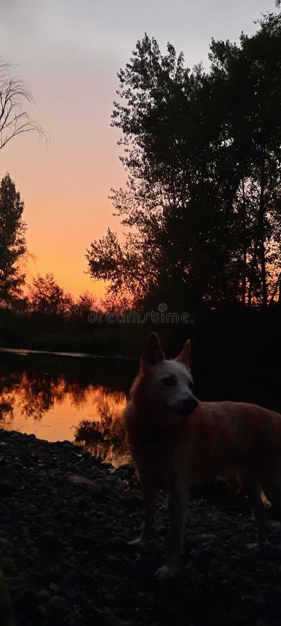 Midwest Summer Sunset stock image. Image of night, midwest - 224938833