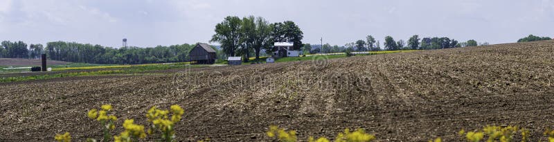 Midwestern Farmstead Panorama Stock Image - Image of illinois, flowers ...
