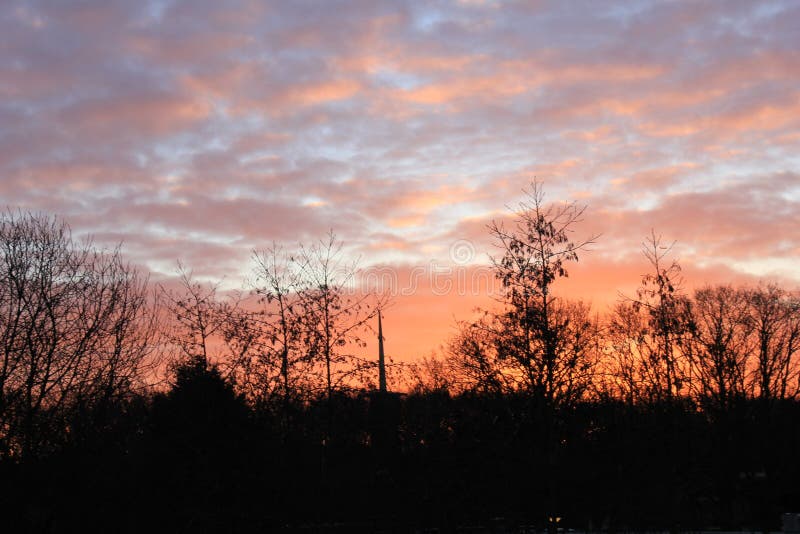 A midwinter sunrise stock photo. Image of early, trees - 85073980