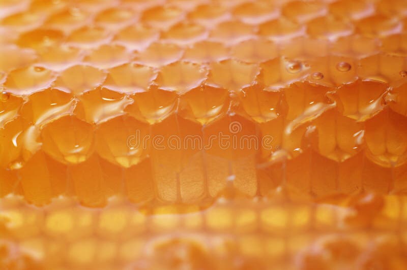 Textura de la miel foto de archivo. Imagen de granja - 16727544